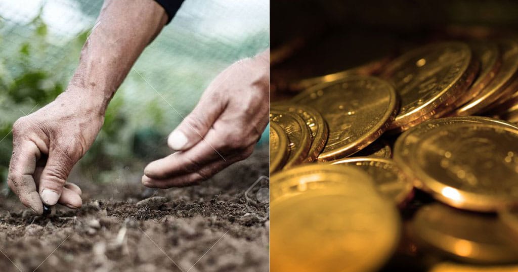 Αχαΐα: Φτωχός αγρότης πέθανε και άφησε στην κόρη του 2 βαρέλια λίρες